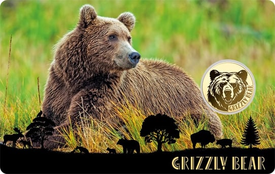 Gold Grizzly Bär Münze