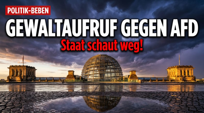 „AfD-Verbot selber machen“: Wenn linke Aktivisten offen zur Gewalt ...